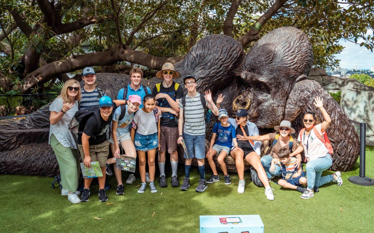 Ability Options | NDIS Provider | Australian Disability Services