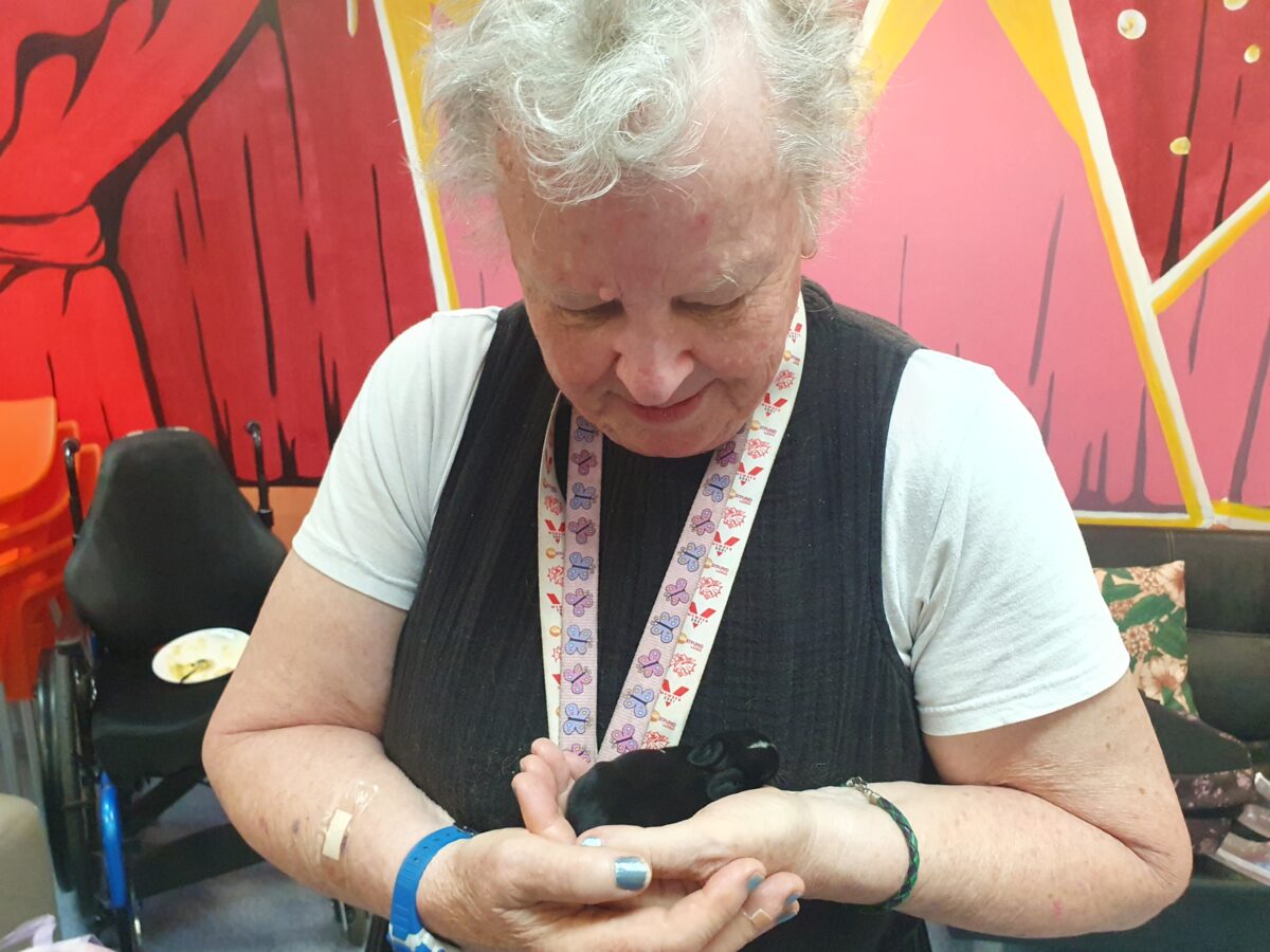 Celebrating the successful integration of R&R Care into the Ability ...